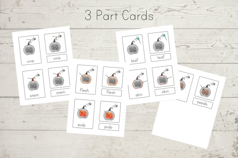 Parts of a Pumpkin Labeling Activity & 3 Part Cards Printable PDF - Etsy