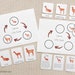 Llama Study Bundle Life Cycle of a Llama & Llama Anatomy Montessori PDF ...
