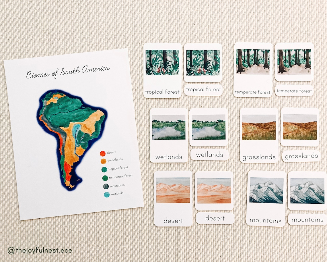 Biomes of South America | Montessori 3-part Cards | Biome Map, Booklets ...