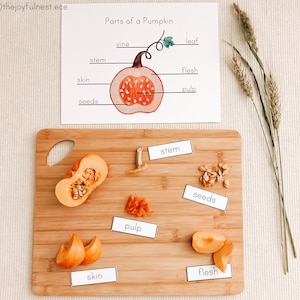 Parts of a Pumpkin Labeling Activity & 3 Part Cards Printable PDF - Etsy