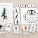 Conifer Tree Unit Study Bundle: Life Cycle, Parts of a Tree, Number ...