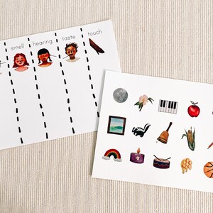 Five Senses Activities & Montessori 3 Part Cards | Printable PDF ...