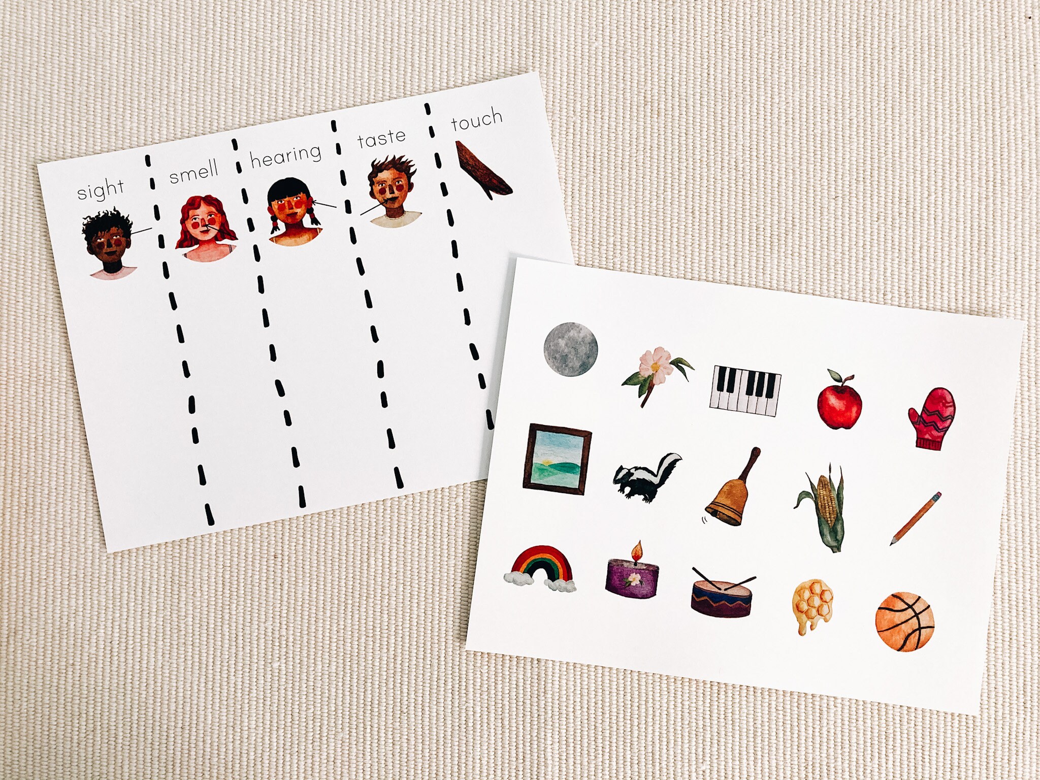 Five Senses Activities & Montessori 3 Part Cards Printable - Etsy