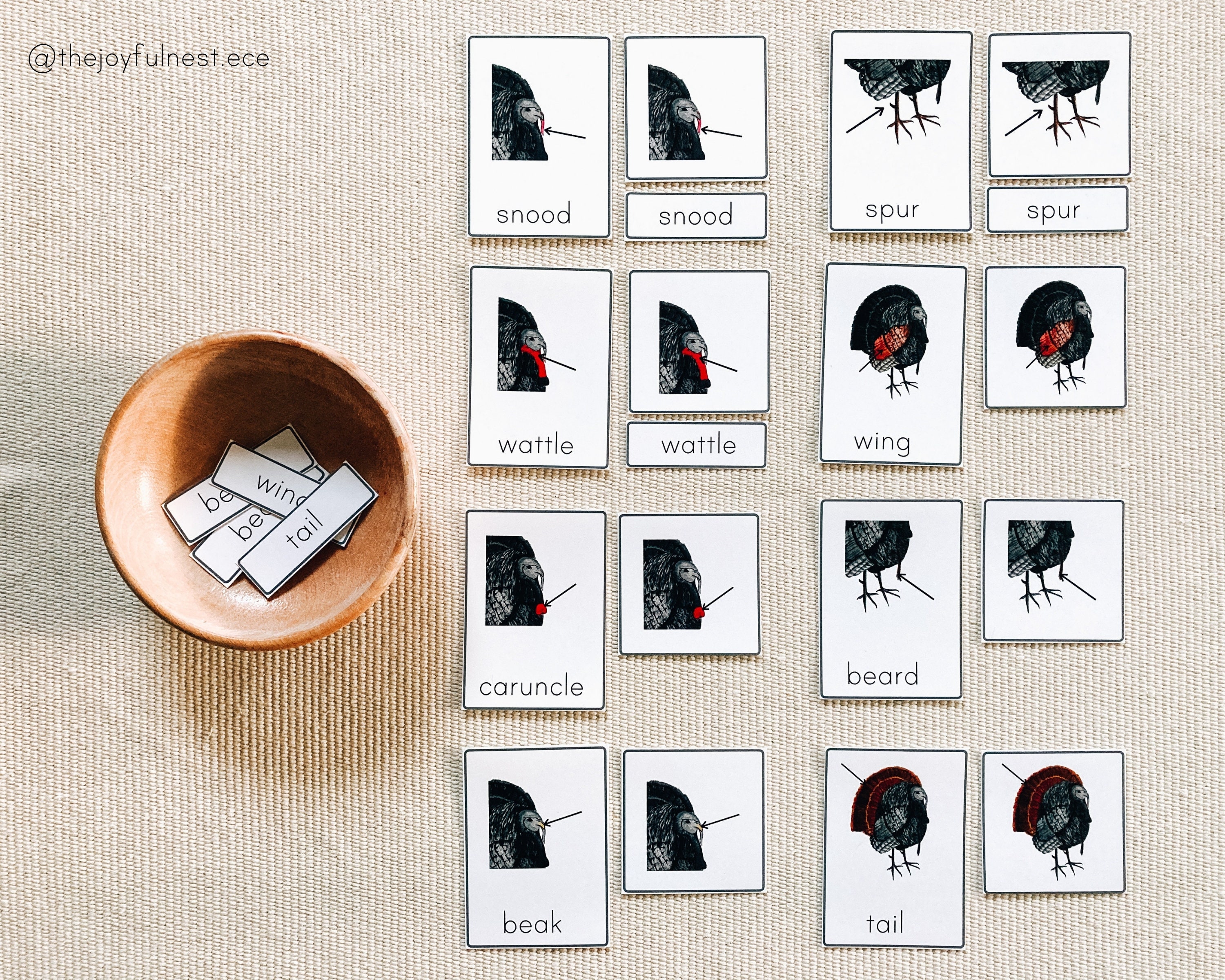 Turkey Anatomy Study | Parts of a Turkey | Poster, Labeling Activity, 3 ...