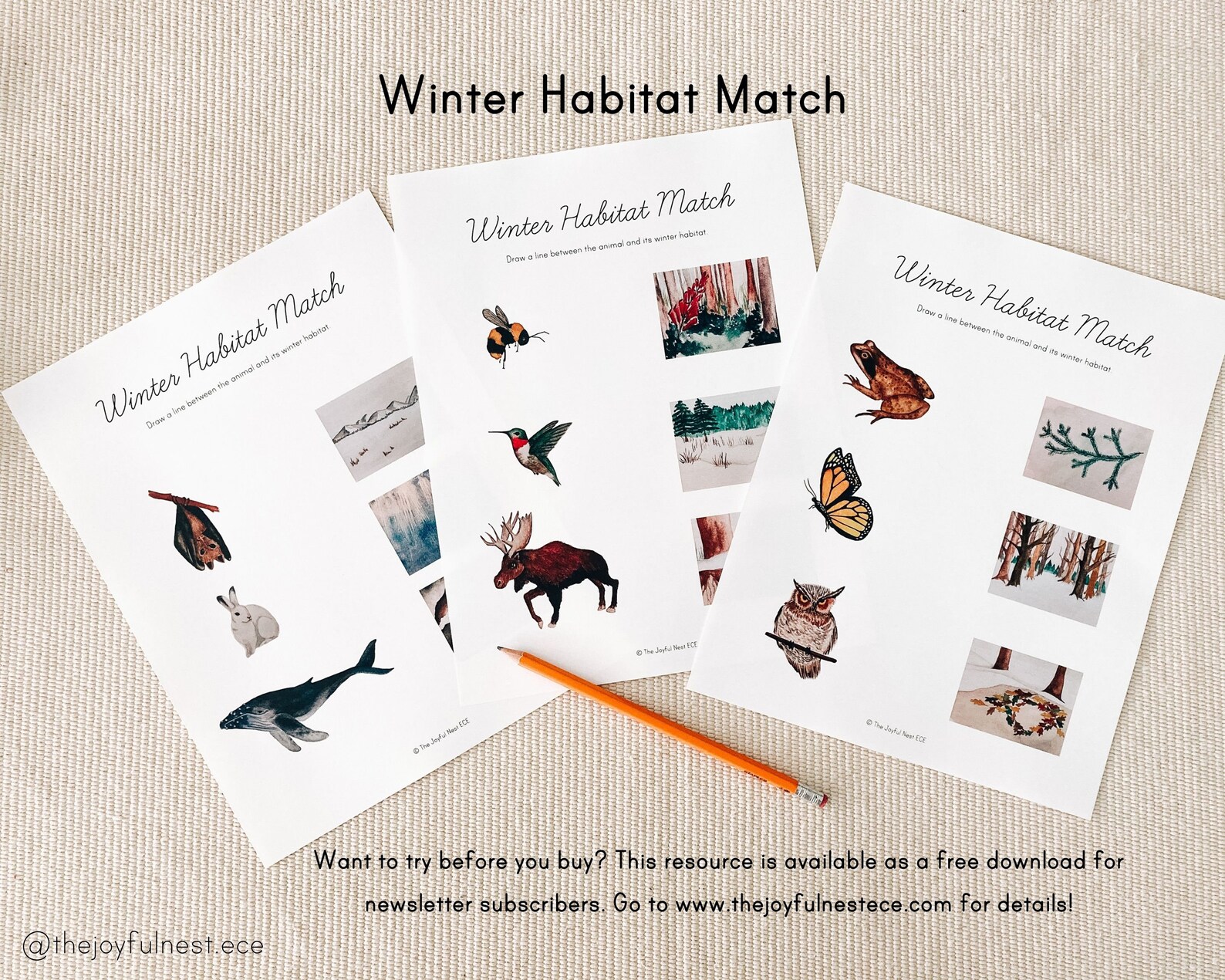 Animals in Winter: Hibernate, Migrate, Adapt Unit Study Montessori ...