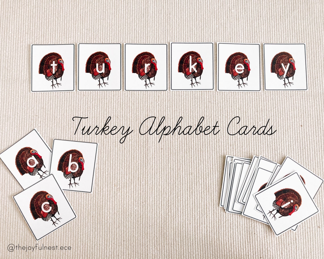 Turkey Unit Study Bundle: Anatomy Life Cycle Counting - Etsy