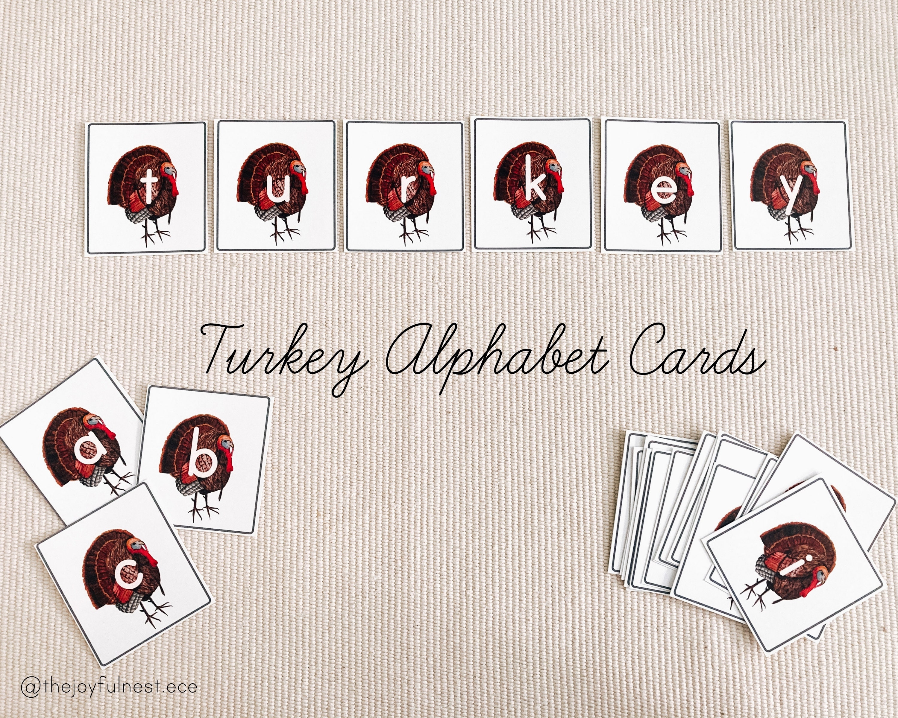 Turkey Unit Study Bundle: Anatomy, Life Cycle, Counting, Alphabet Cards ...