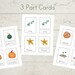 Pumpkin Unit Bundle: Life Cycle, Anatomy, Counting Cards, Songs, and ...
