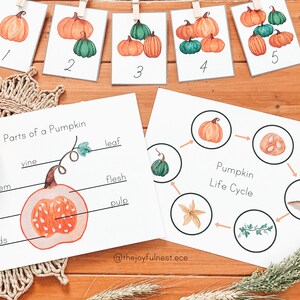Pumpkin Unit Bundle: Life Cycle, Anatomy, Counting Cards, Songs, and ...