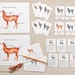 Llama Study Bundle Life Cycle of a Llama & Llama Anatomy Montessori PDF ...