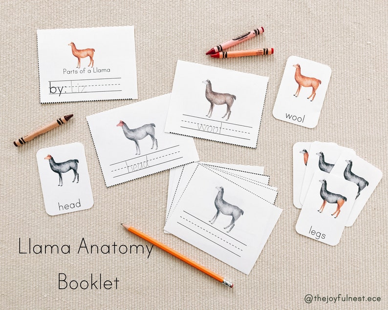 Llama Study Bundle | Life Cycle of a Llama & Llama Anatomy | Montessori ...