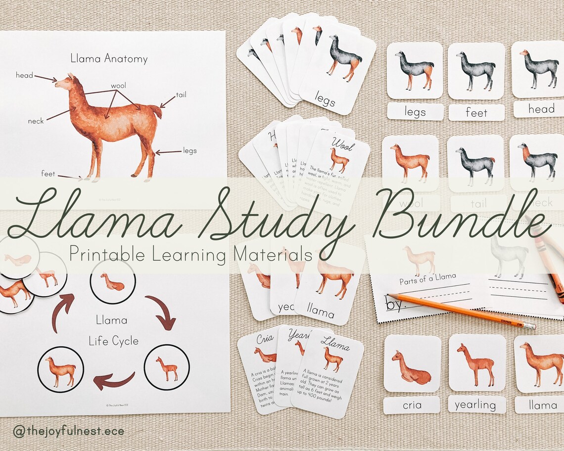 Llama Study Bundle Life Cycle of a Llama & Llama Anatomy Montessori PDF ...