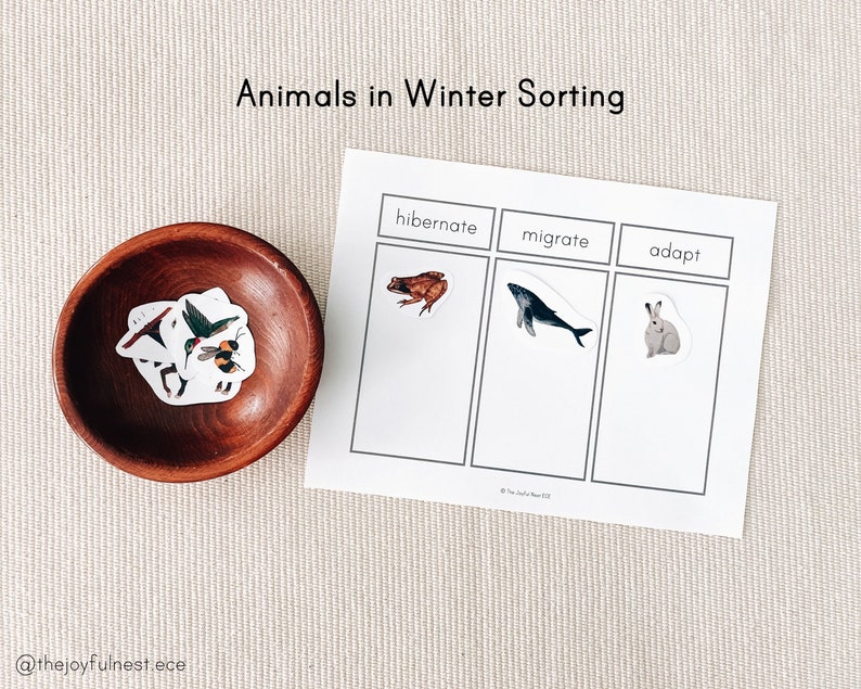 Animals in Winter: Hibernate Migrate Adapt Unit Study - Etsy