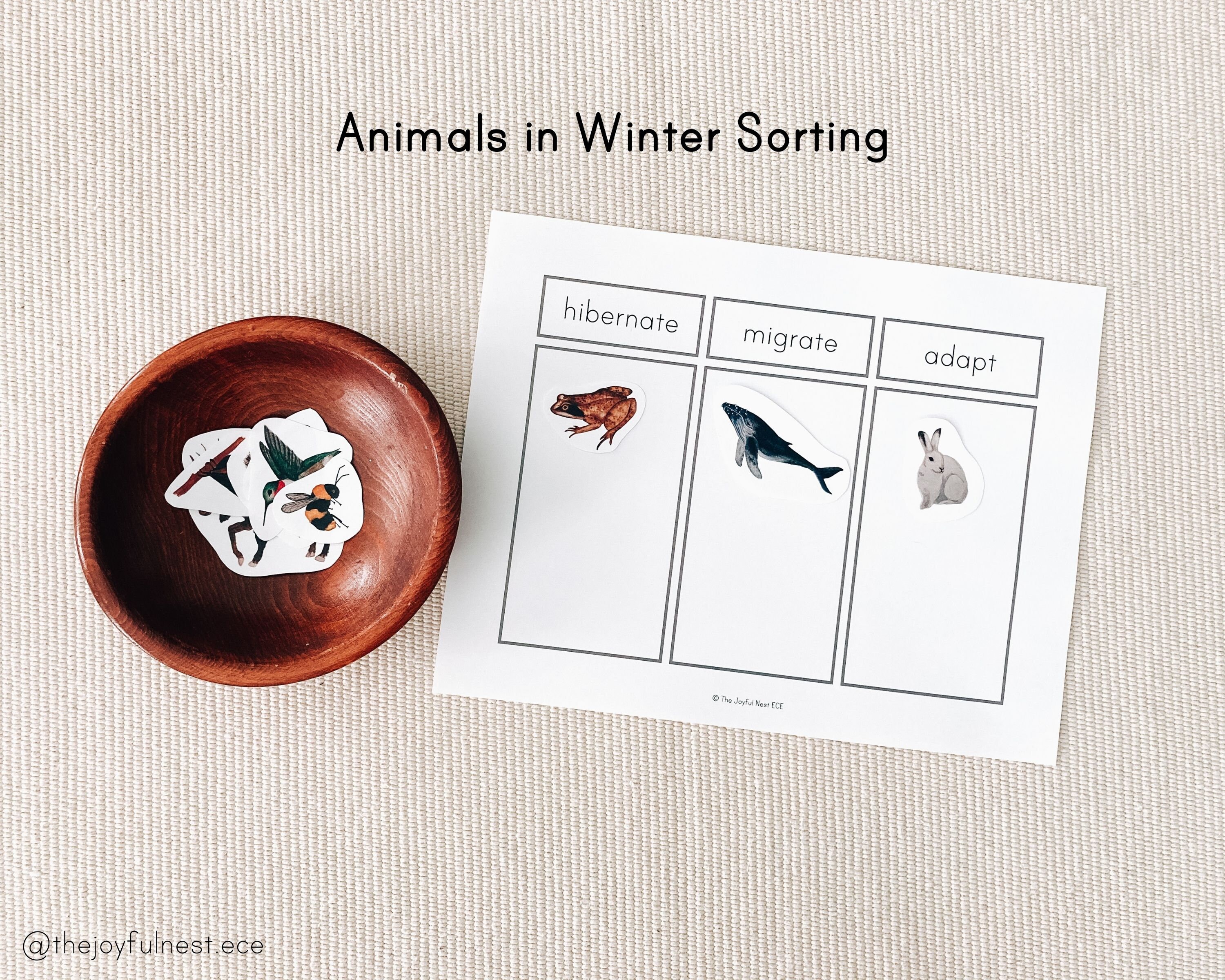 Animals in Winter: Hibernate, Migrate, Adapt | Unit Study | Montessori ...