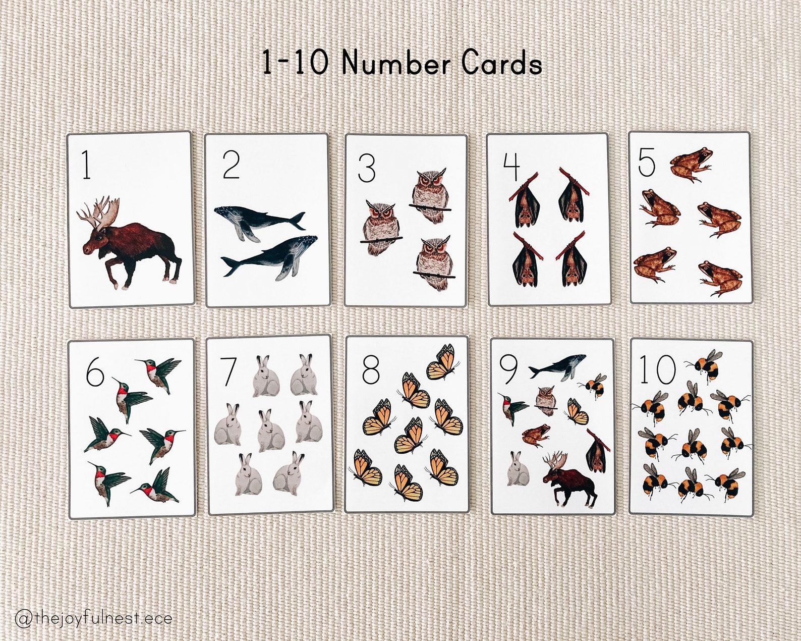 Animals in Winter: Hibernate, Migrate, Adapt Unit Study Montessori ...