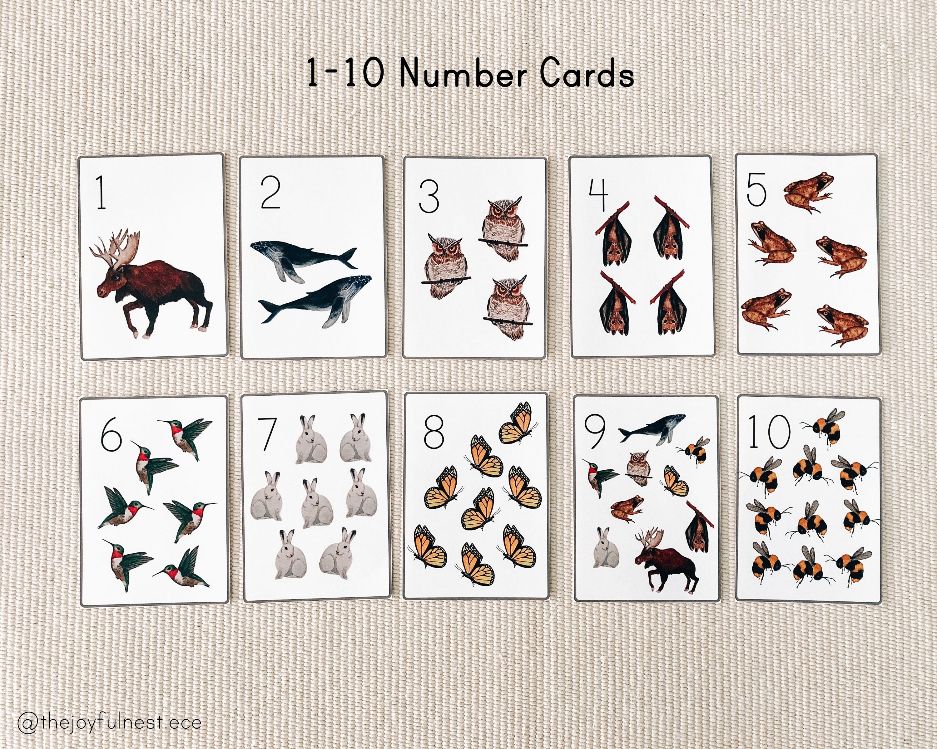 Animals in Winter: Hibernate, Migrate, Adapt | Unit Study | Montessori ...