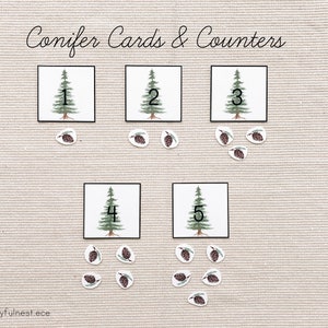 Conifer Tree Unit Study Bundle: Life Cycle, Parts of a Tree, Number ...