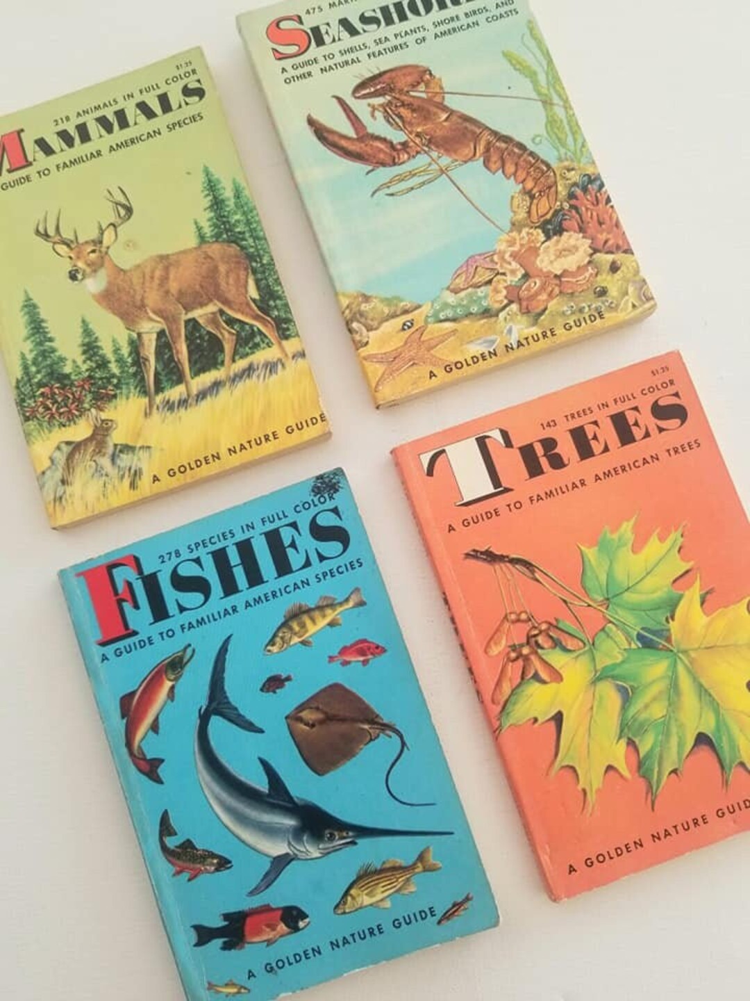 Golden Guides, Vintage Field Guide Book, 1950s Editions, Identification ...