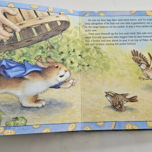 The Story of Peter Rabbit, Board Book, Beatrix Potter, Illustrated by ...