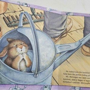 The Story of Peter Rabbit, Board Book, Beatrix Potter, Illustrated by ...