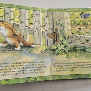 The Story of Peter Rabbit, Board Book, Beatrix Potter, Illustrated by ...