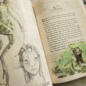 Arthur Spiderwick, Field Guide, Fantastical World, Hardback, Tony ...