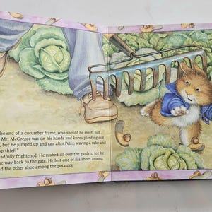 The Story of Peter Rabbit, Board Book, Beatrix Potter, Illustrated by ...