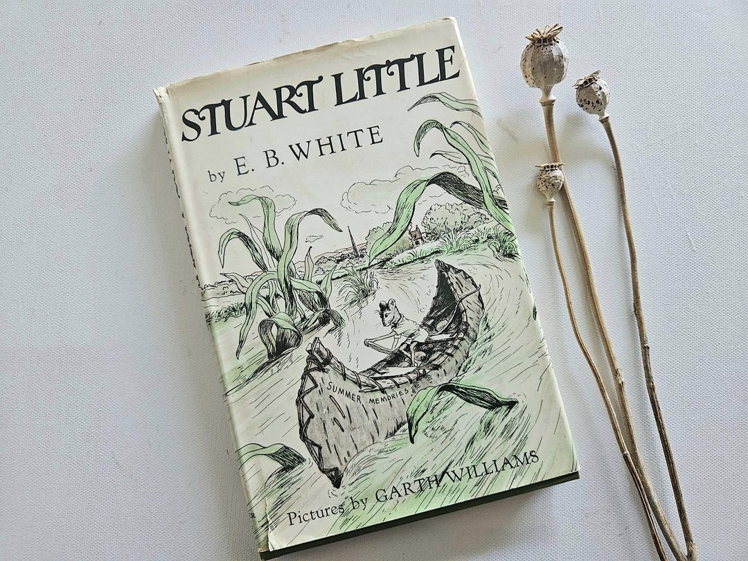 Stuart Little, E. B. White, Classic Kids Book, Children's Hardcover ...