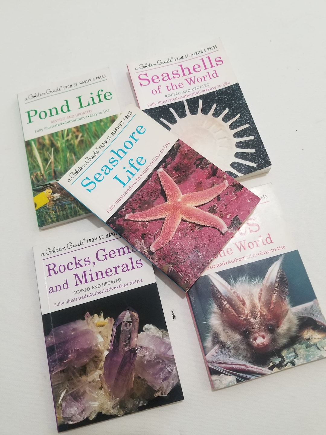 Golden Guides, Vintage Field Guide Book, Identification Guide, Shells ...