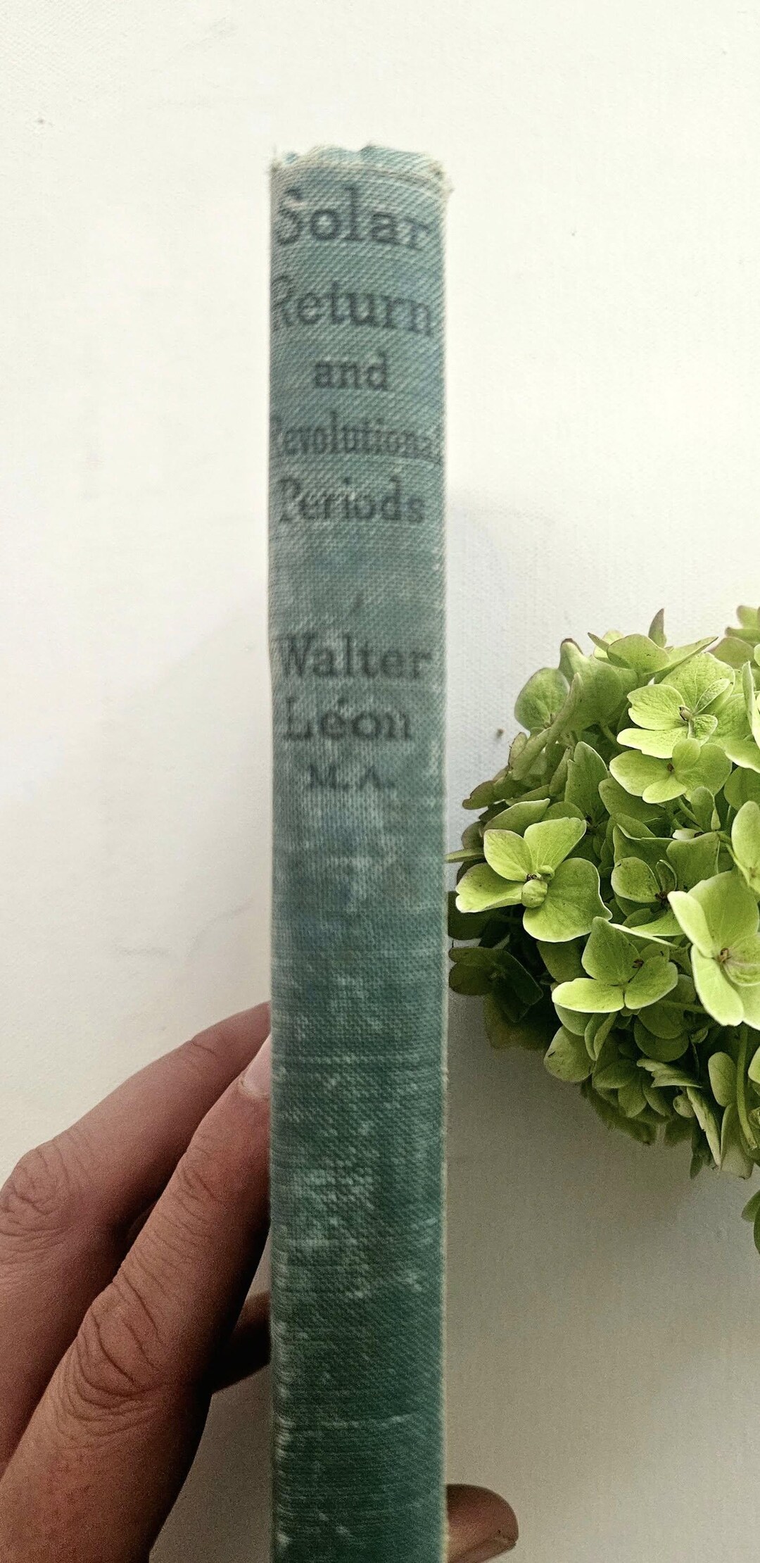 Vintage Astrology Book: Solar Returns, Walter Leon, 1950s Green ...