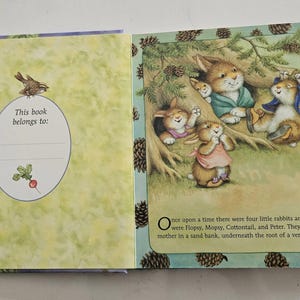 The Story of Peter Rabbit, Board Book, Beatrix Potter, Illustrated by ...