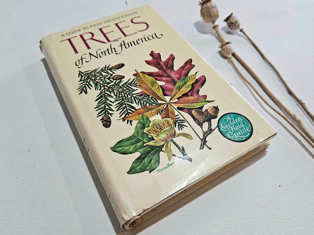 Trees of North America, Golden Book, Field Identification, Hardback ...
