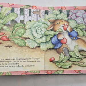 The Story of Peter Rabbit, Board Book, Beatrix Potter, Illustrated by ...