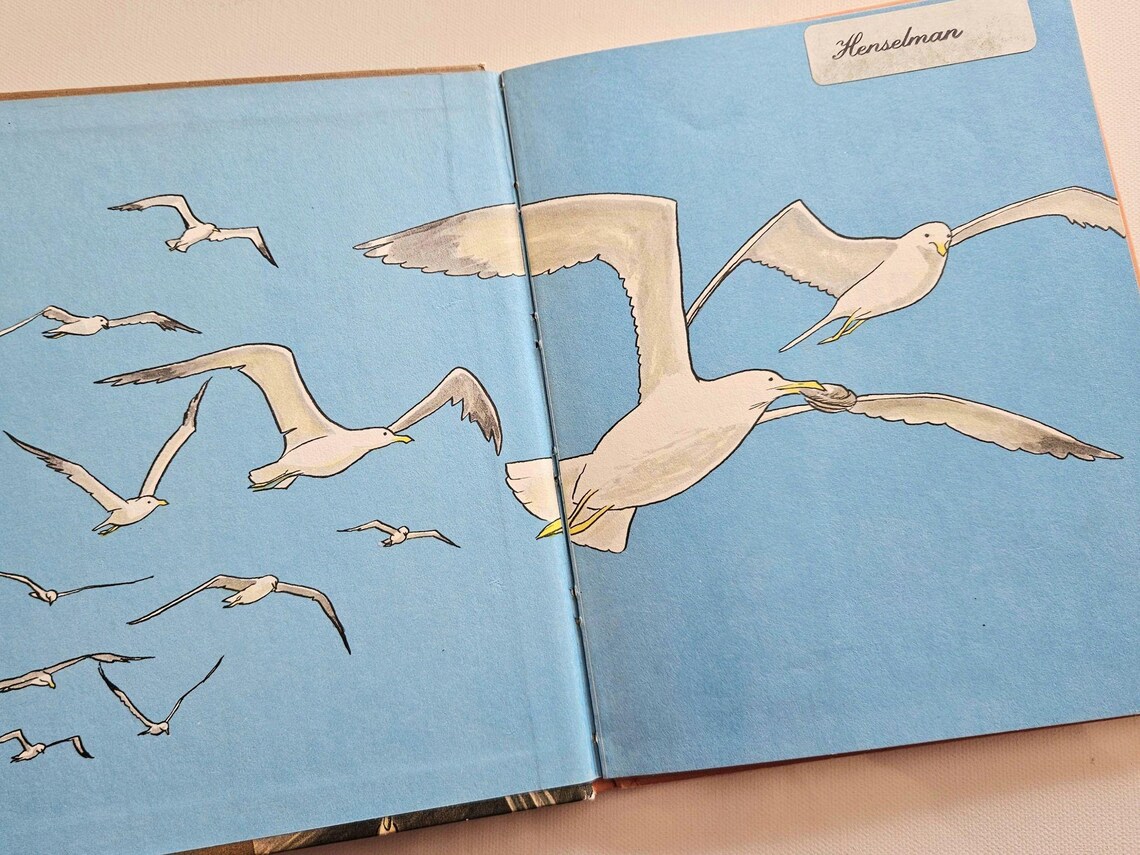 Birds Do the Strangest Things, 1965, Vintage Kids Book, Illustrated ...