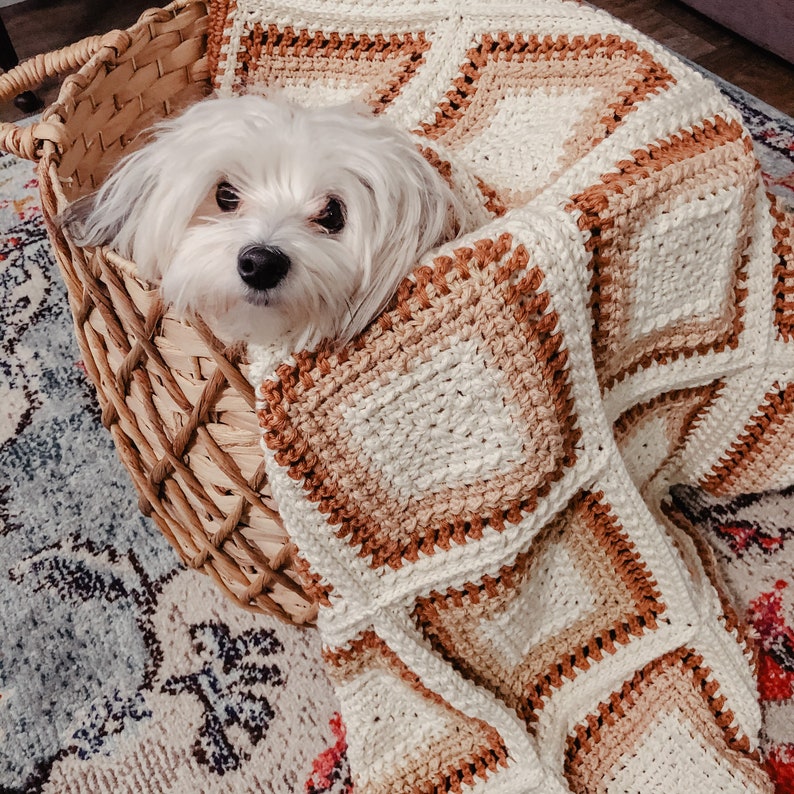 Sassy Dreams Afghan Pattern Granny Square Blanket Baby - Etsy