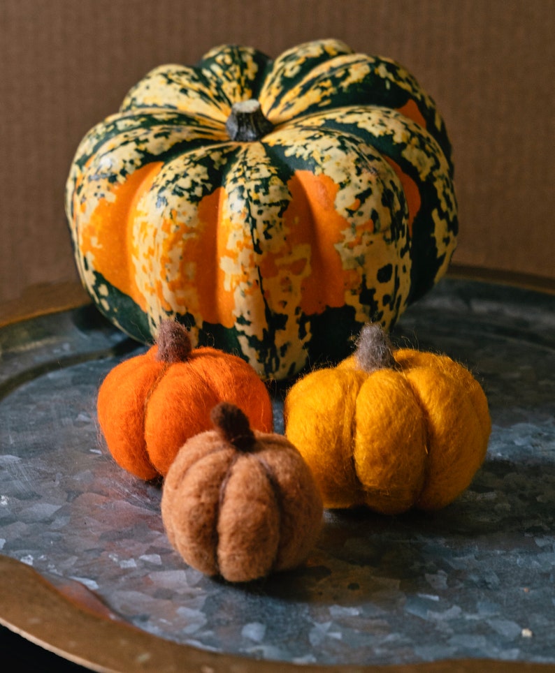 Pumpkins set felting kit needle felting needle felting kit | Etsy