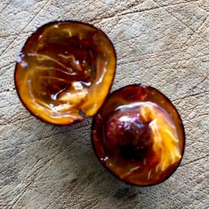 Myrciaria Floribunda Dark Purple Fruit Cambuizeiro Guavaberry Rumberry ...