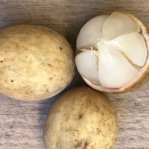 Langsat Lansium Parasiticum Domesticum Lanzones Duku Tropical Fruit ...