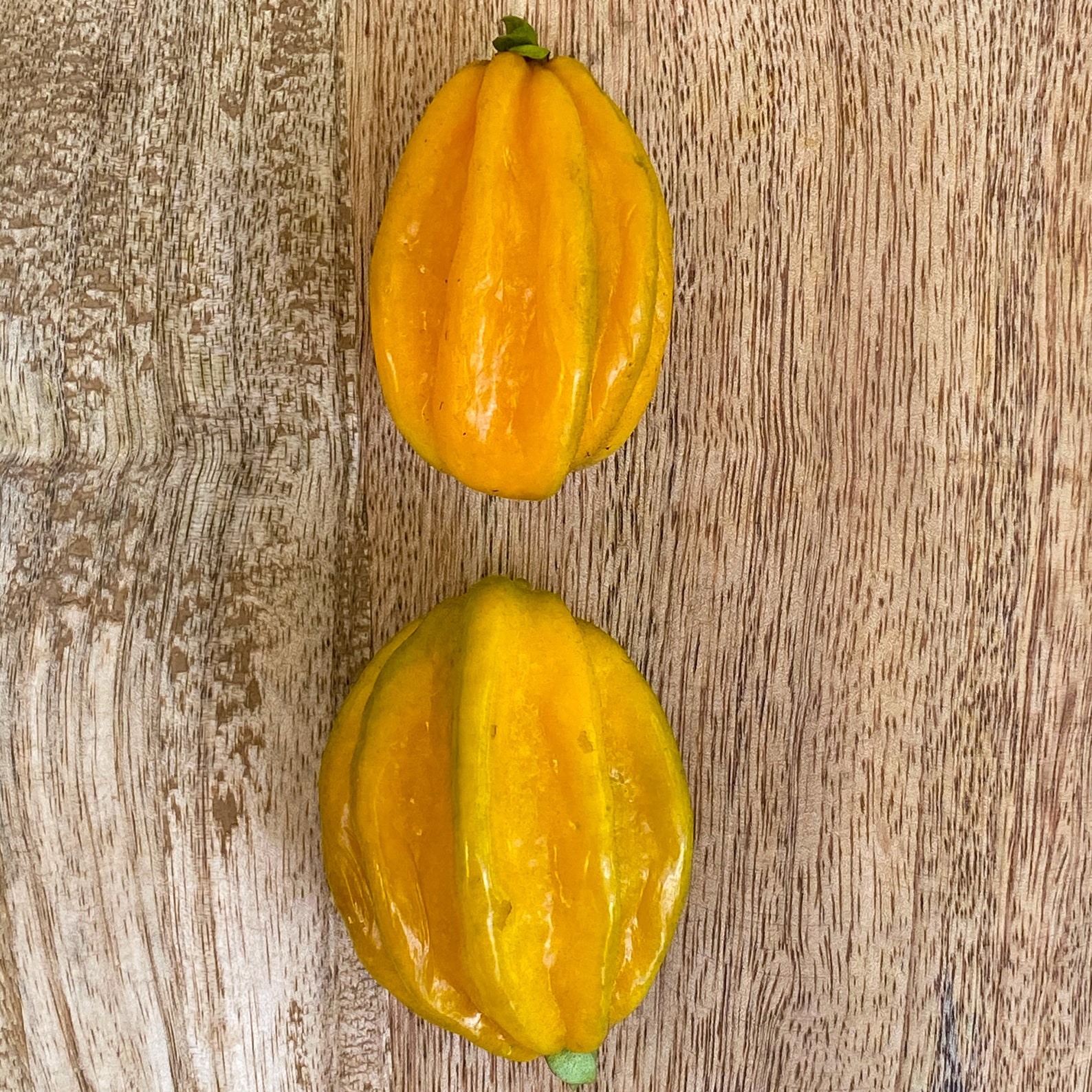 Pitangatuba 'big Elongated Fruit' Star Cherry Eugenia - Etsy