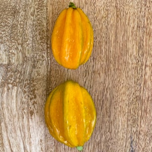 Pitangatuba 'big Elongated Fruit' Star Cherry Eugenia Selloi Neonitida ...