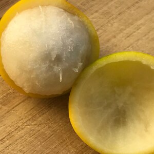 Lemon Drop Mangosteen Garcinia Intermedia Yellow Tropical Fruit Tree ...