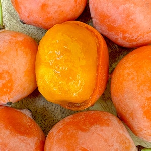 Imbe Garcinia Livingstonei Orange African Mangosteen Tropical Fruit ...