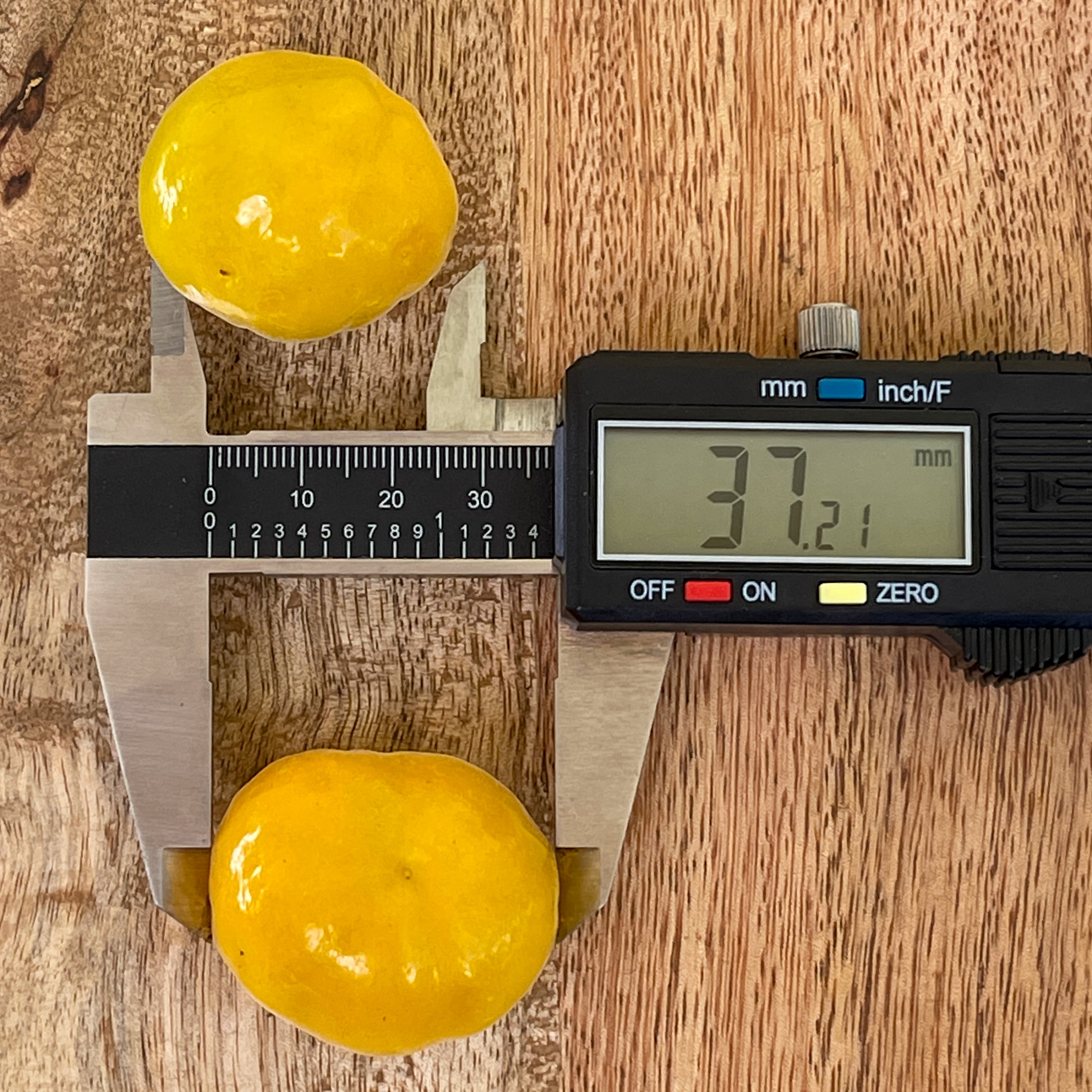 Uvaia Eugenia Pyriformis Yellow Orange Uvalha Fruit Tropical - Etsy