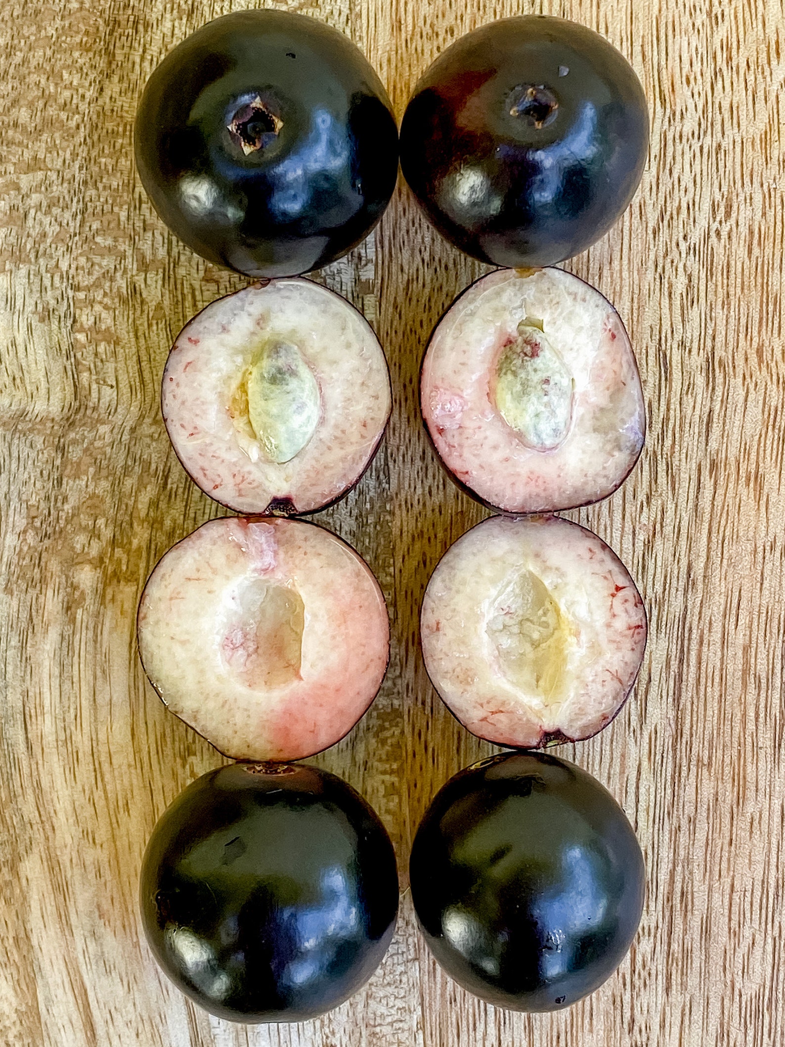 Rainforest Plum Eugenia Candolleana Cambui Roxo Murtinha Tropical ...