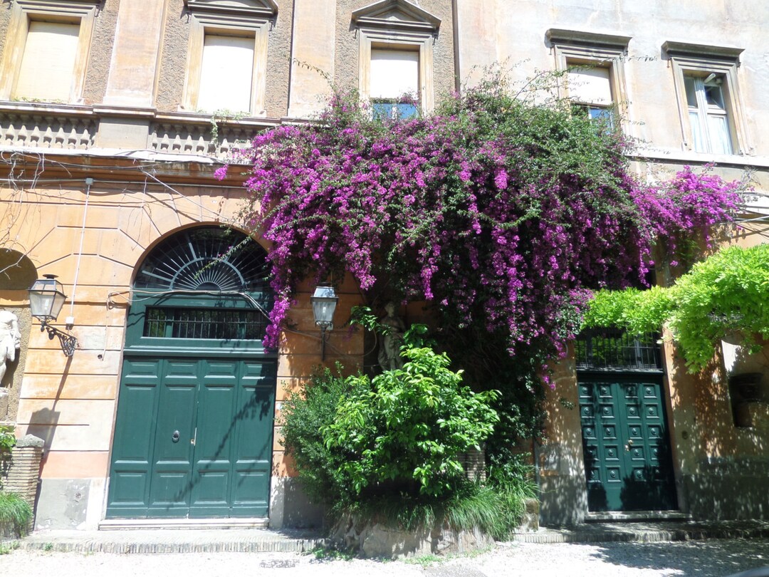 Rome Scene, via Margutta, Purple Decor, Rome Print, Rome Art, Roman ...