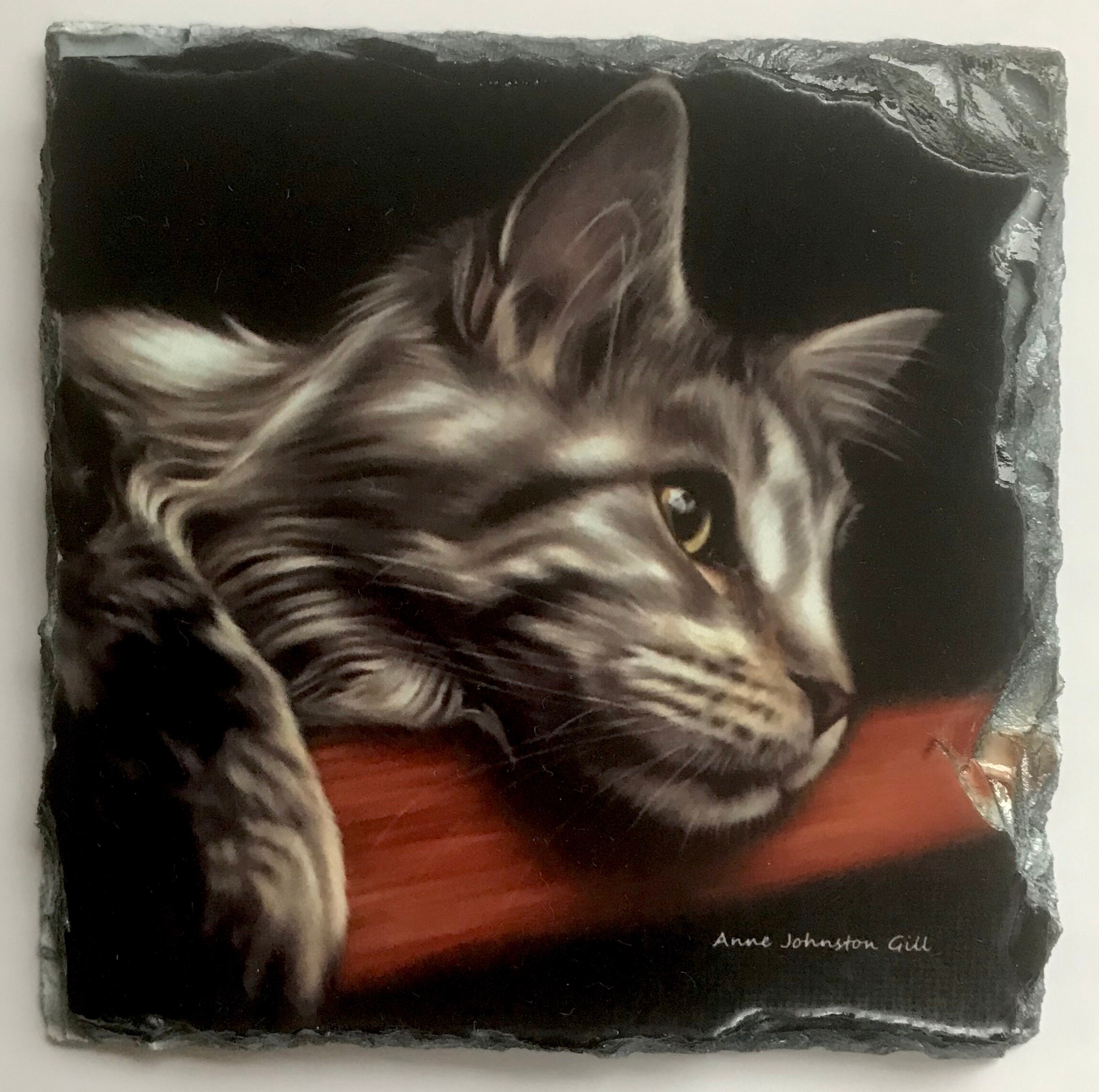 Silver cat slate coaster,wildlife coaster,animal coaster,maine coone ...