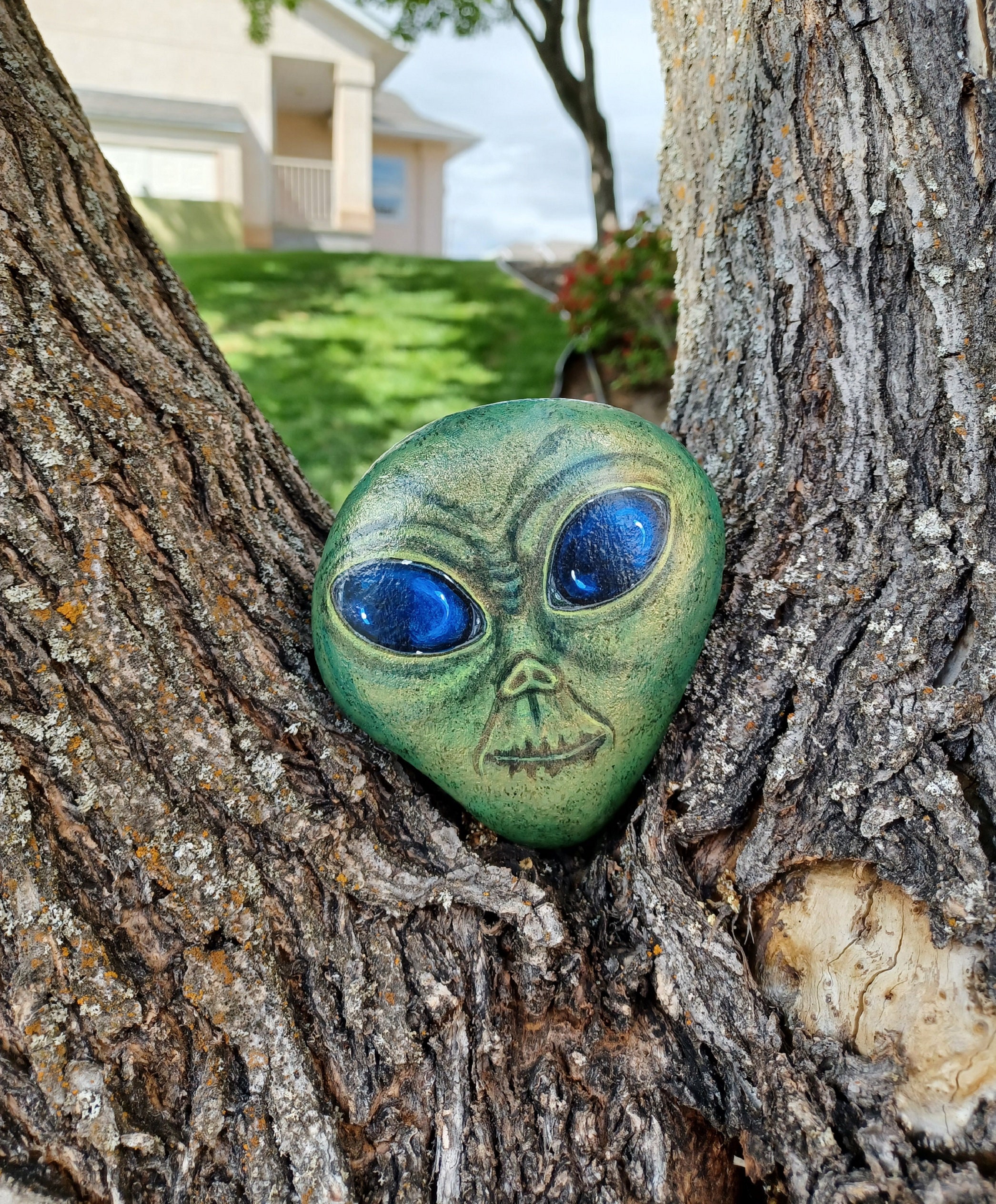 Alien Painted Stone Space Alien Paper Weight Ufo Being - Etsy Canada
