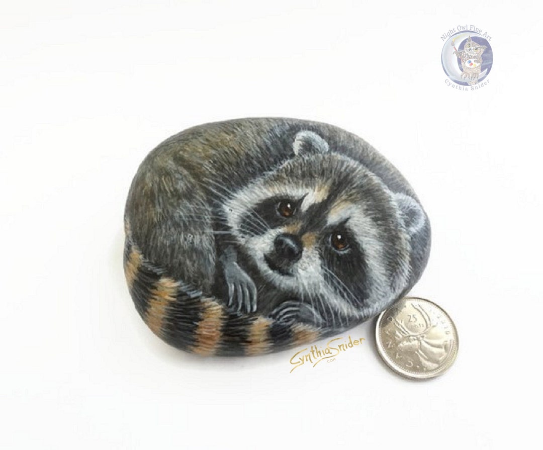 Raccoon Art, Painted Rock, Painted Stone, Cute Raccoon, Hand-painted ...