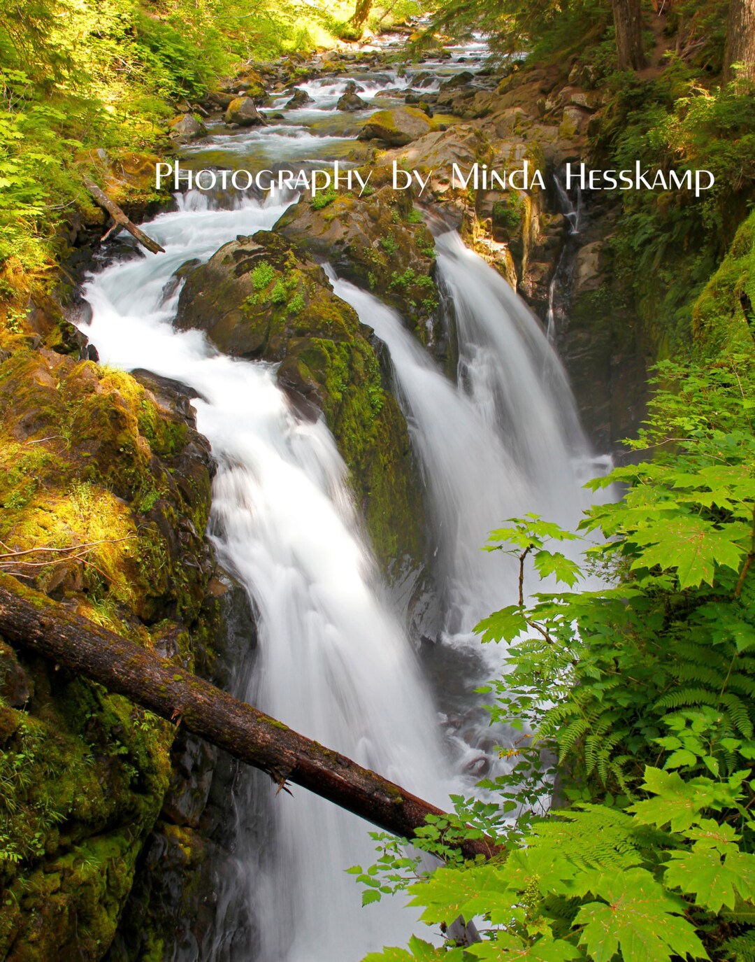 Sol Duc Falls, Waterfall Photography, Silky Water, Olympic National ...