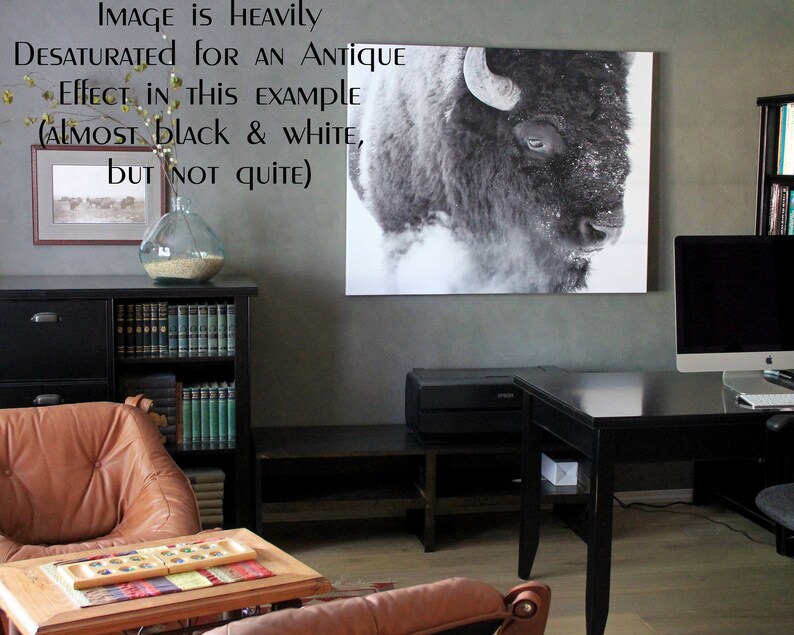 Do Not Approach Canvas buffalo bison photo wild animal | Etsy